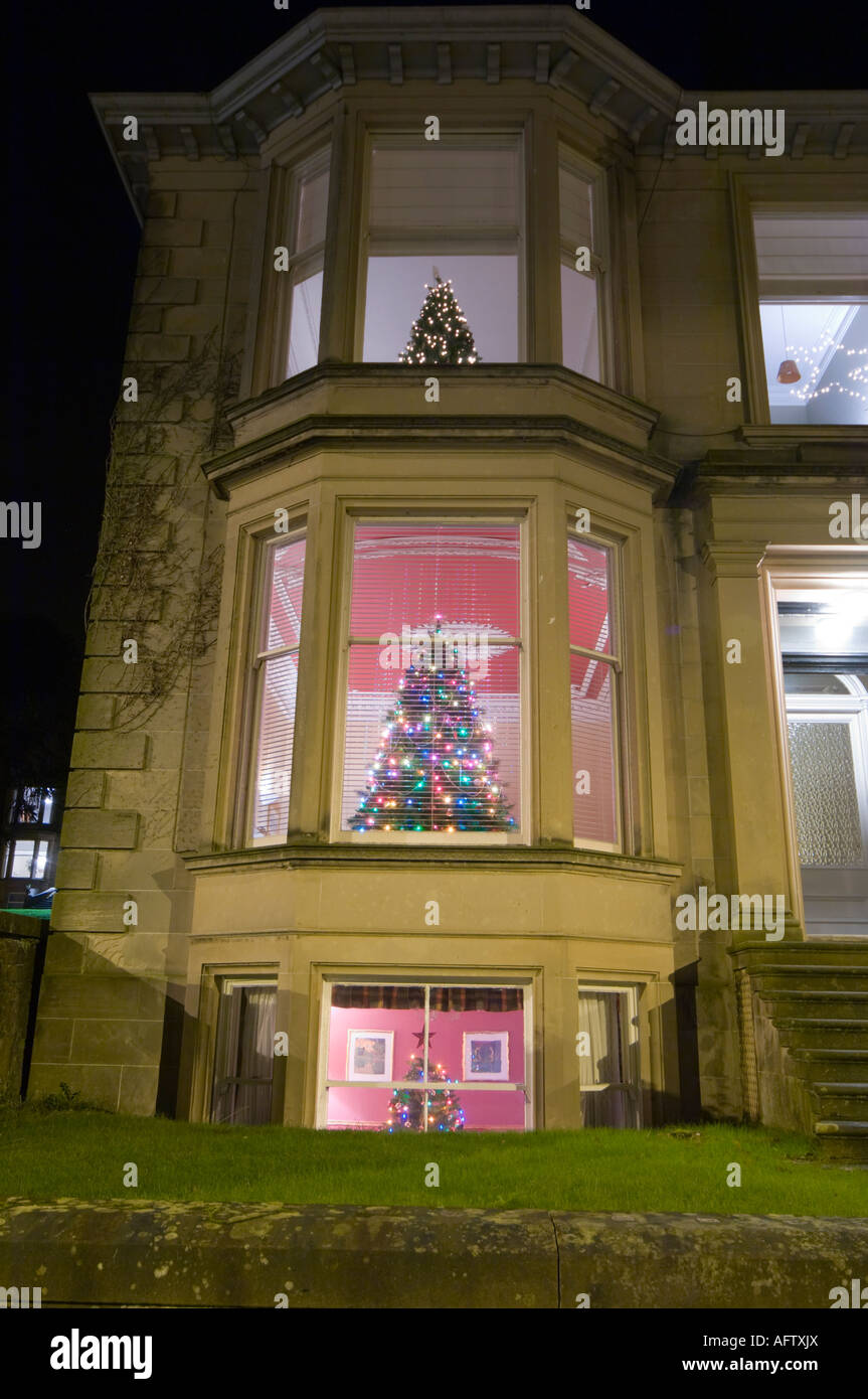 Christmas Trees in Windows Stock Photo - Alamy