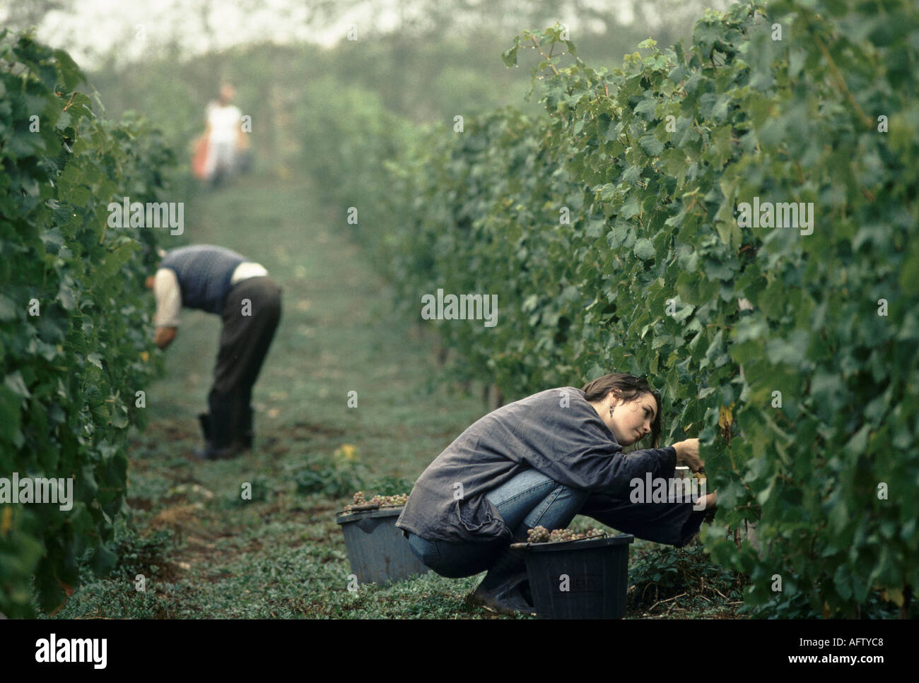 1980s uk student hi-res stock photography and images - Alamy