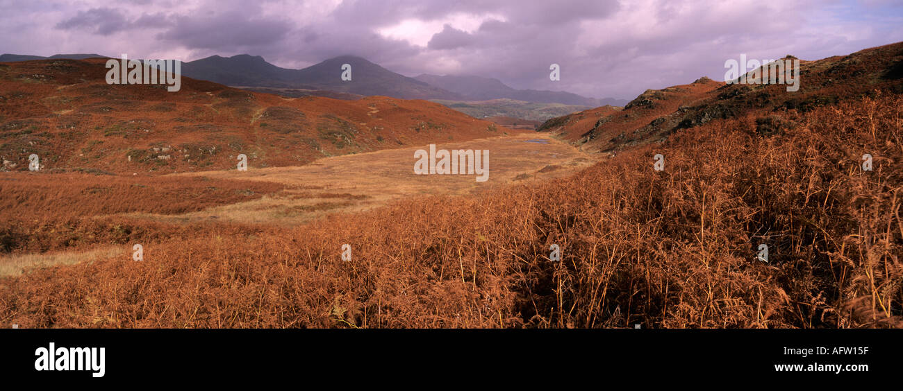 Beacon Fell Country Park High Resolution Stock Photography and Images ...