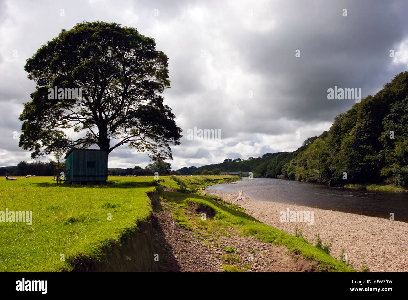 Dark crook hi-res stock photography and images - Alamy