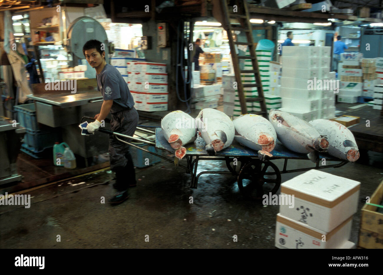 Japanese worker at Tsukiji Fish Market pulling cart with frozen bluefin ...