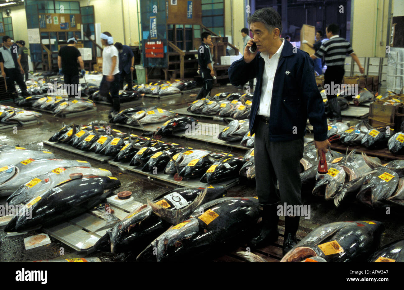 fishmonger standing in the middle of tuna fish dead bodies making deals ...