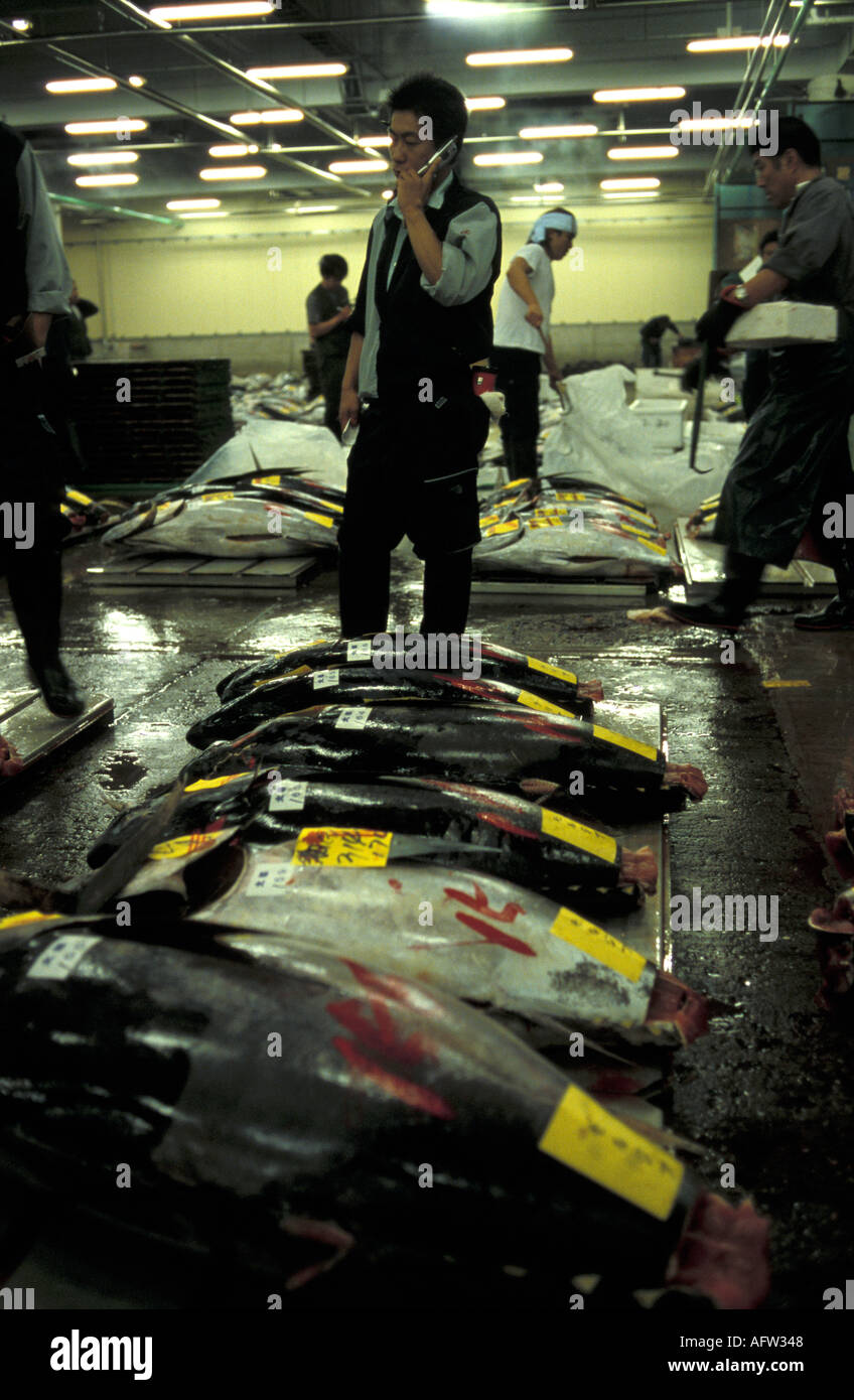 fishmonger standing in the middle of tuna fish dead bodies making deals ...