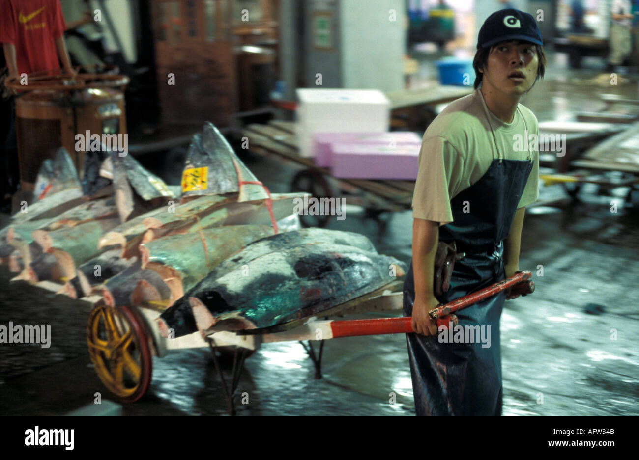 Japanese fishmonger pulling cart with frozen bluefin tuna fish Tsukiji ...