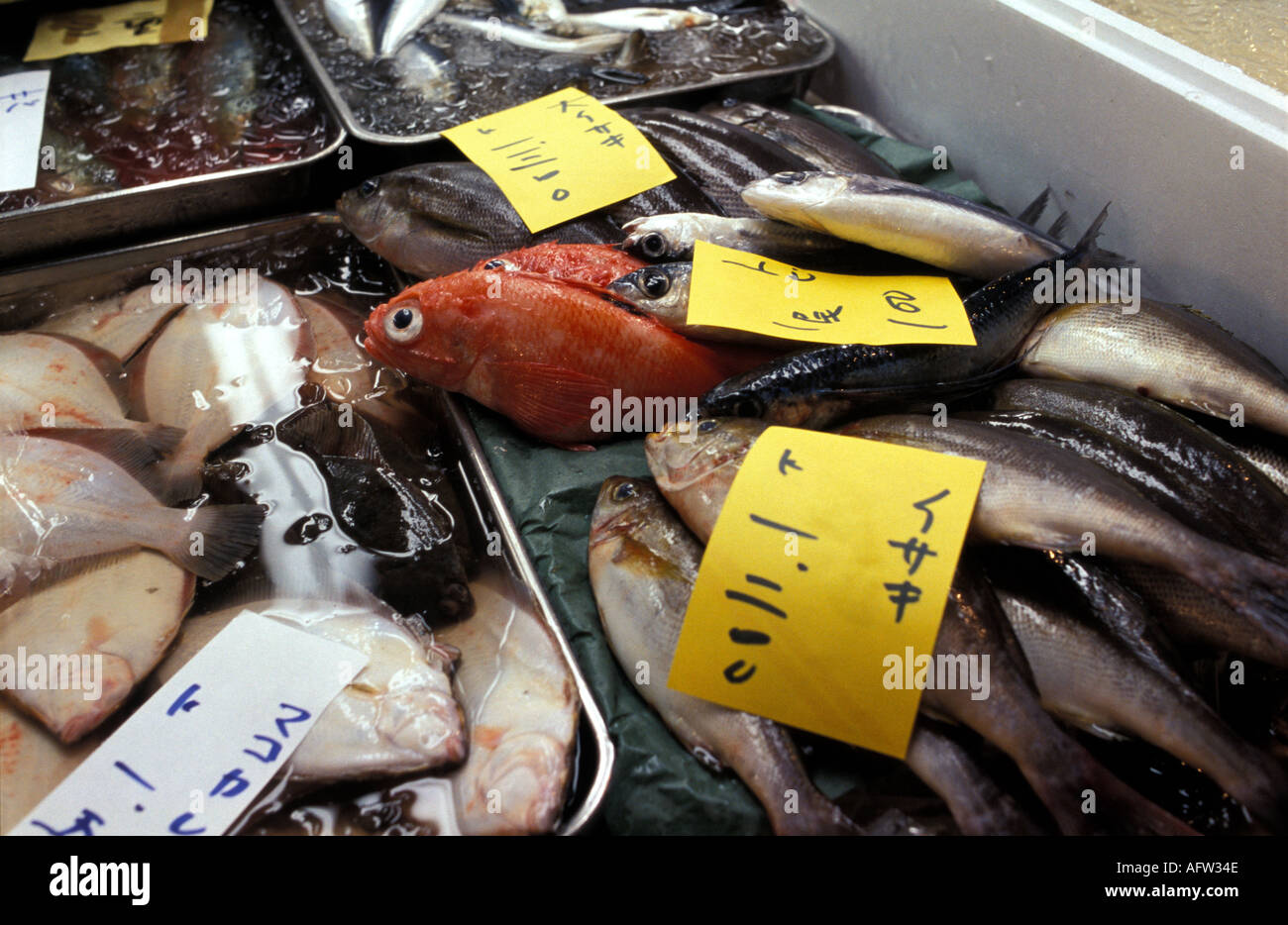 Fresh seafood for sale at Tsukiji Fish Market Tokyo Japan Stock Photo ...
