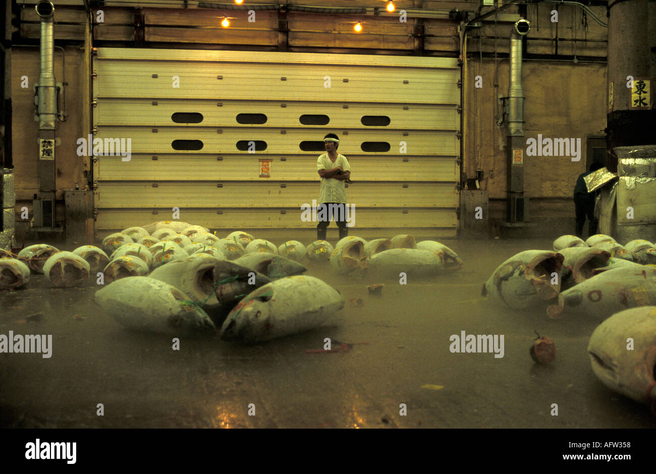 Japanese fishmonger standing in the middle of frozen tuna fish ...