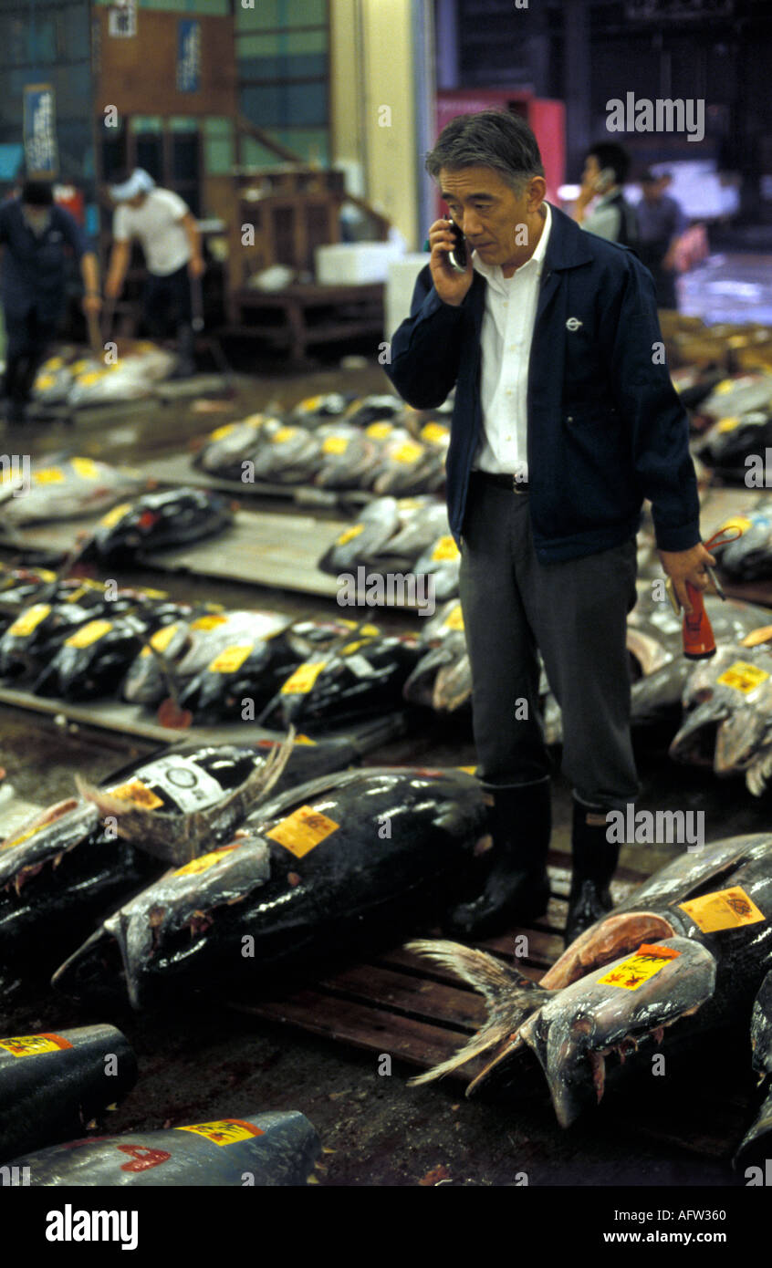 Japanese fishmonger standing in the middle of frozen tuna fish ...