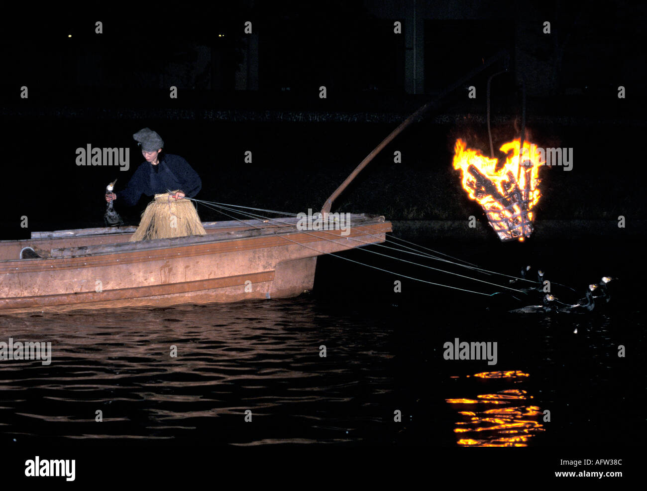 Usho Japanese fisherwoman recovering sweetfish from cormorant s neck ...