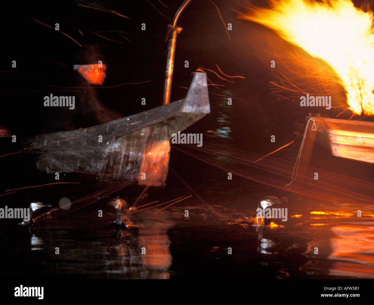 Japanese fisherman on torch lit boat with cormorants on leash Stock ...