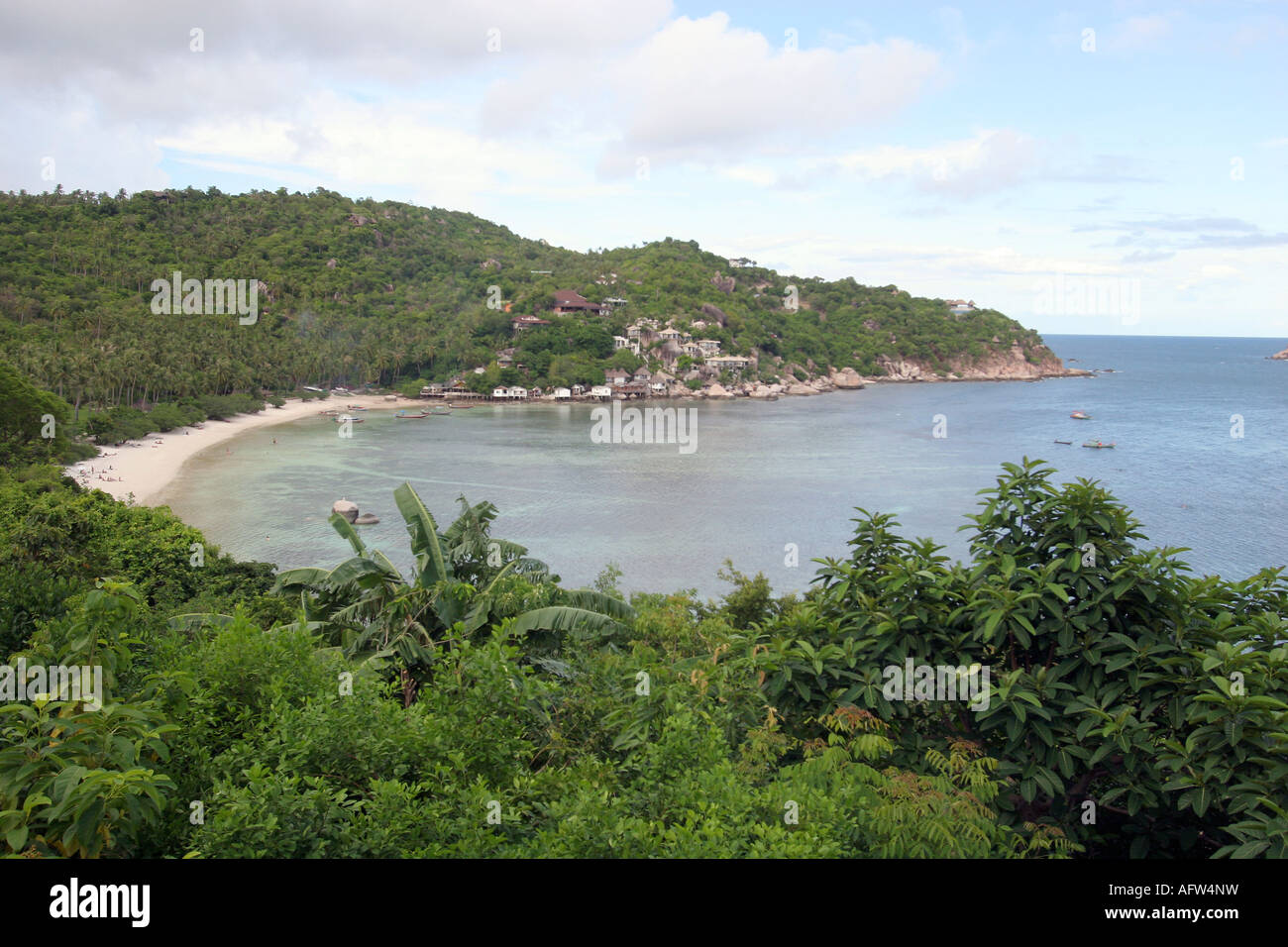 Shark bay ko tao thailand hi-res stock photography and images - Alamy