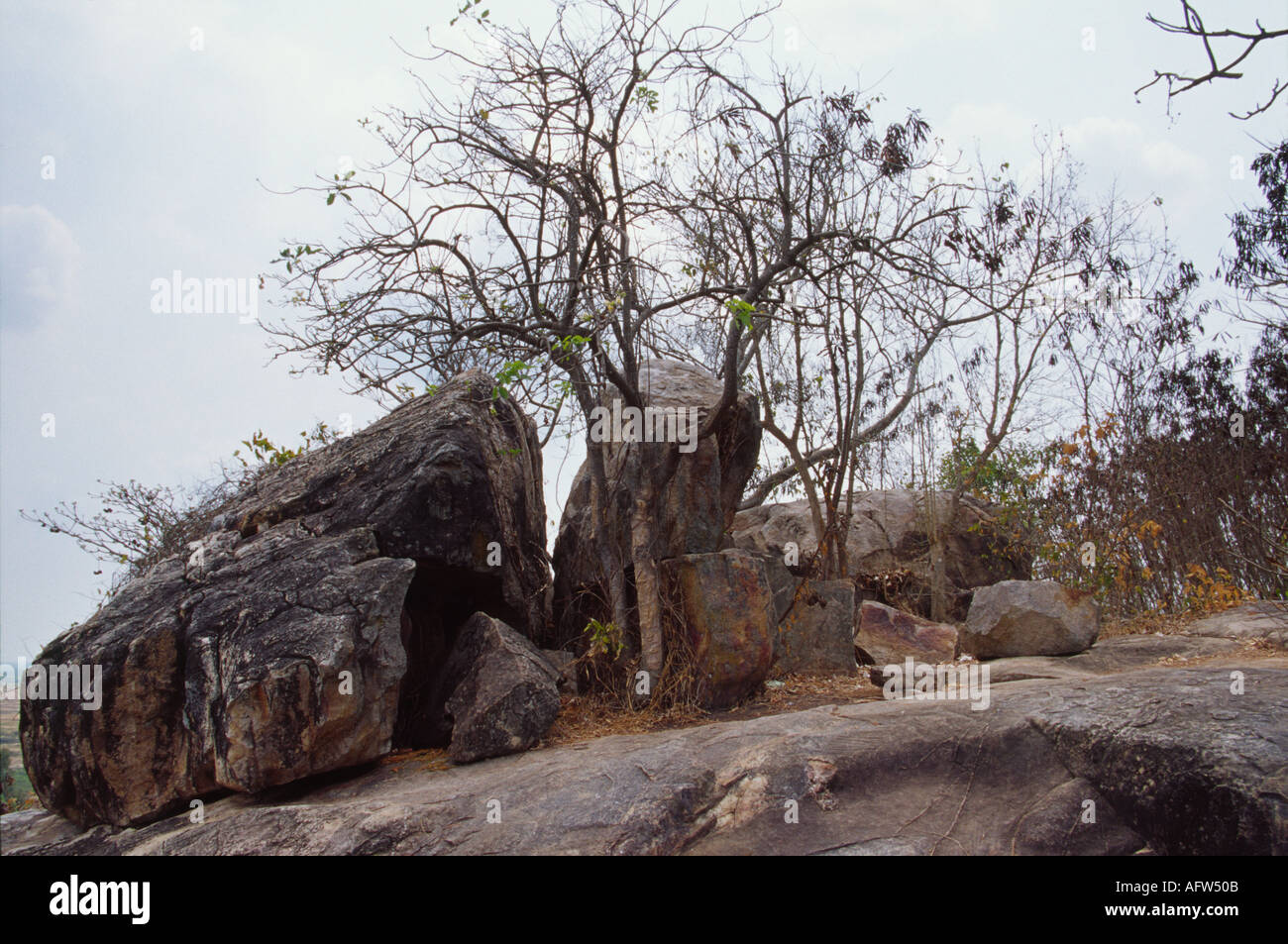 Tree and rocks at Phnom Da Cambodia Stock Photo - Alamy