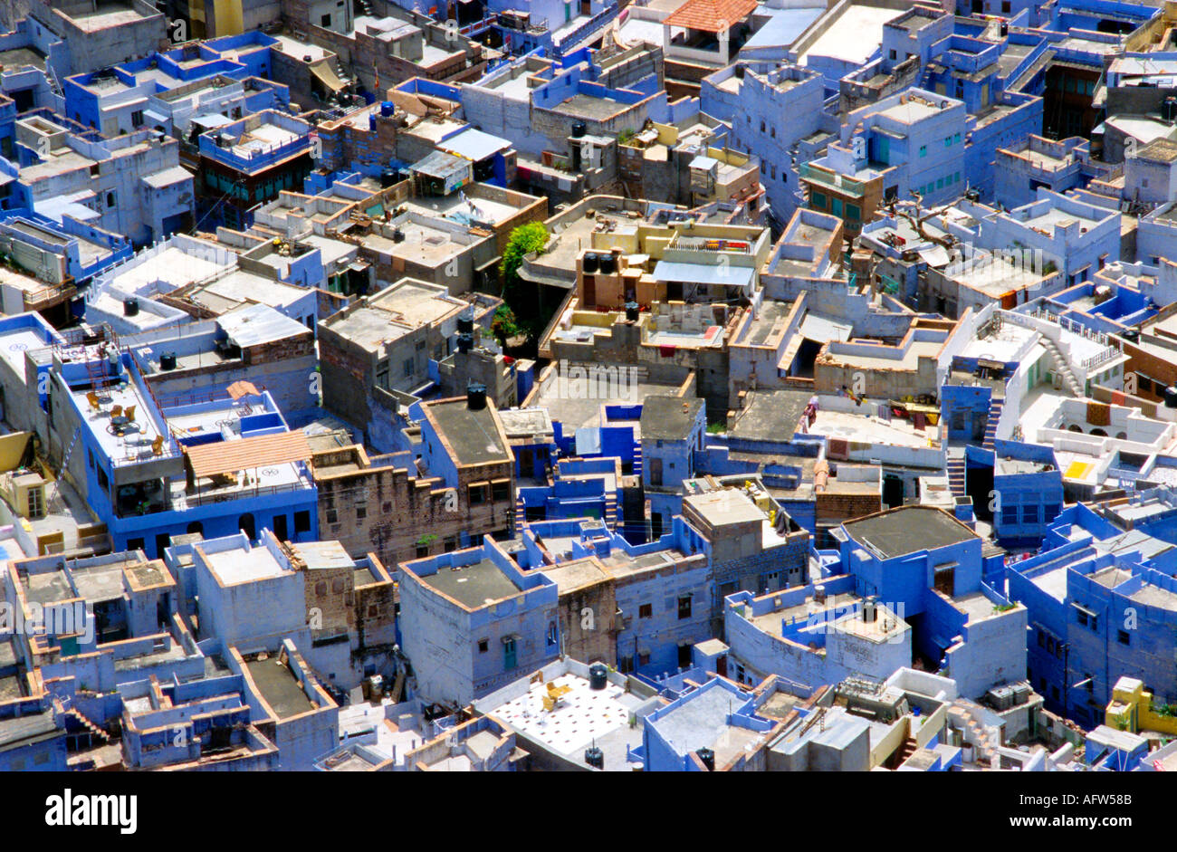 Blue houses of Jodhpur seen from Mehrangarh fort in Rajasthan, India ...