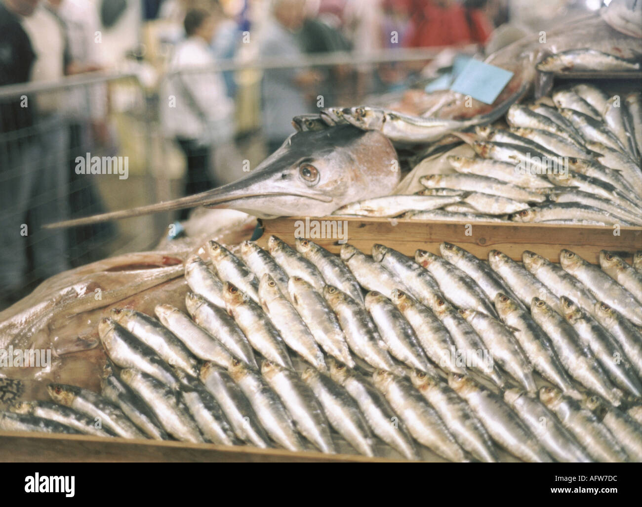 Swordfish tail hi-res stock photography and images - Alamy