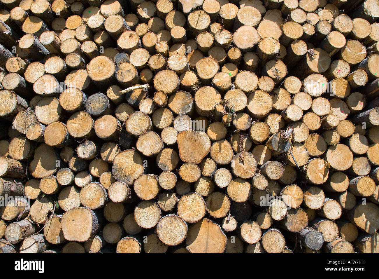 Np sumava hi-res stock photography and images - Alamy