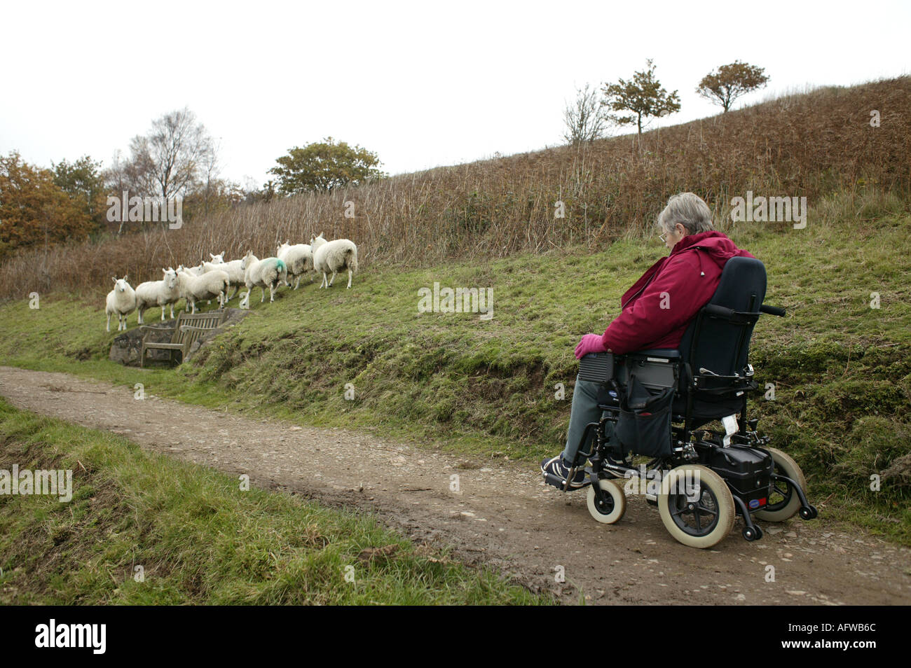 A wheelchair user on an adapted footpath running along the Malvern ...