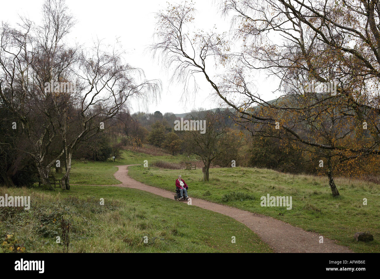 Wheelchair running hi-res stock photography and images - Alamy