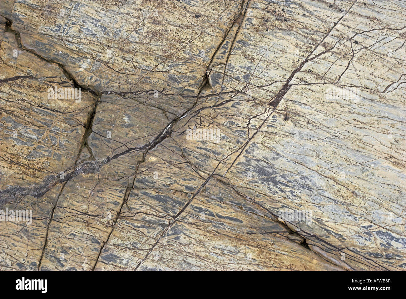 Weathered stone texture Stock Photo - Alamy