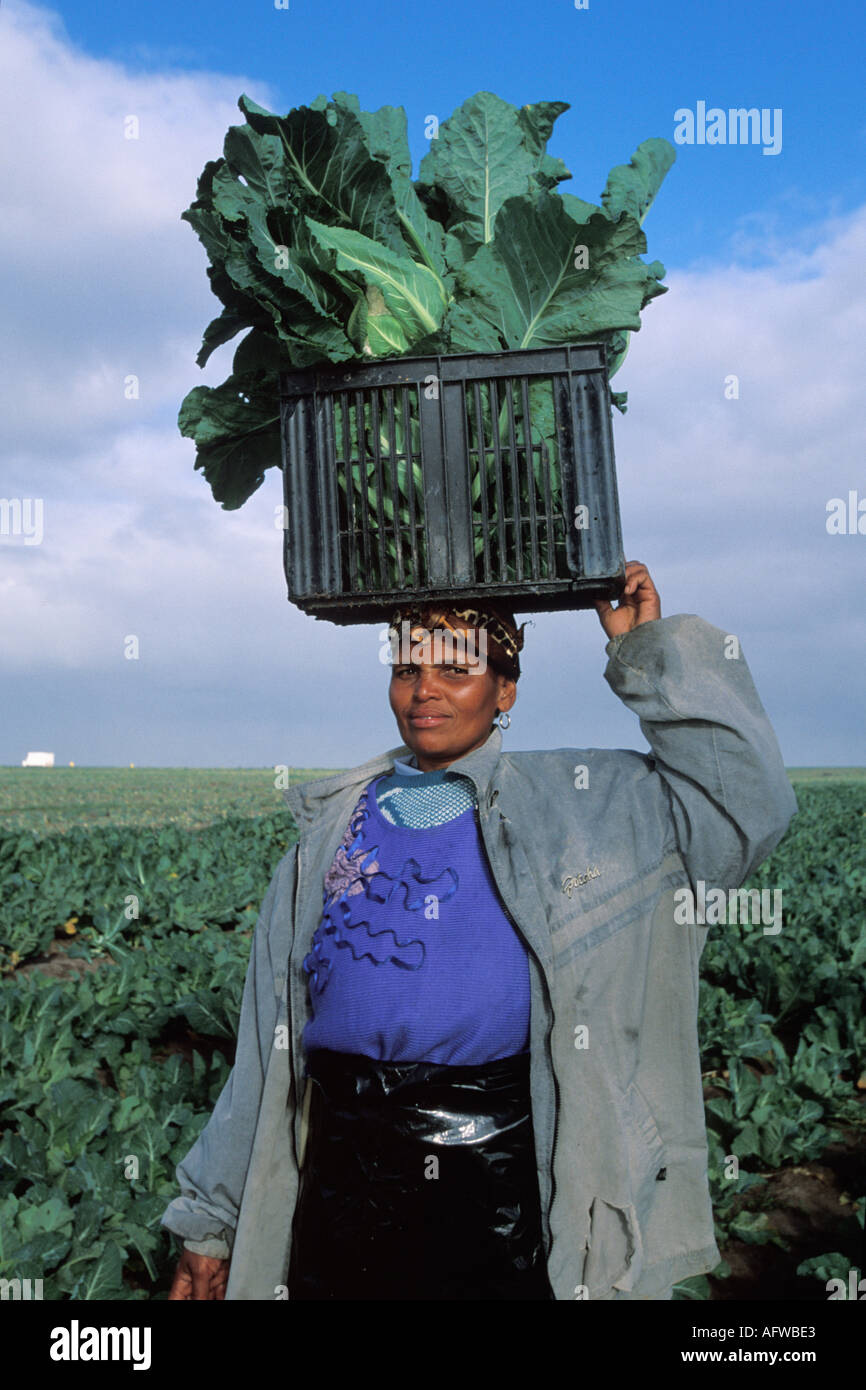 Poor farm south hi-res stock photography and images - Alamy