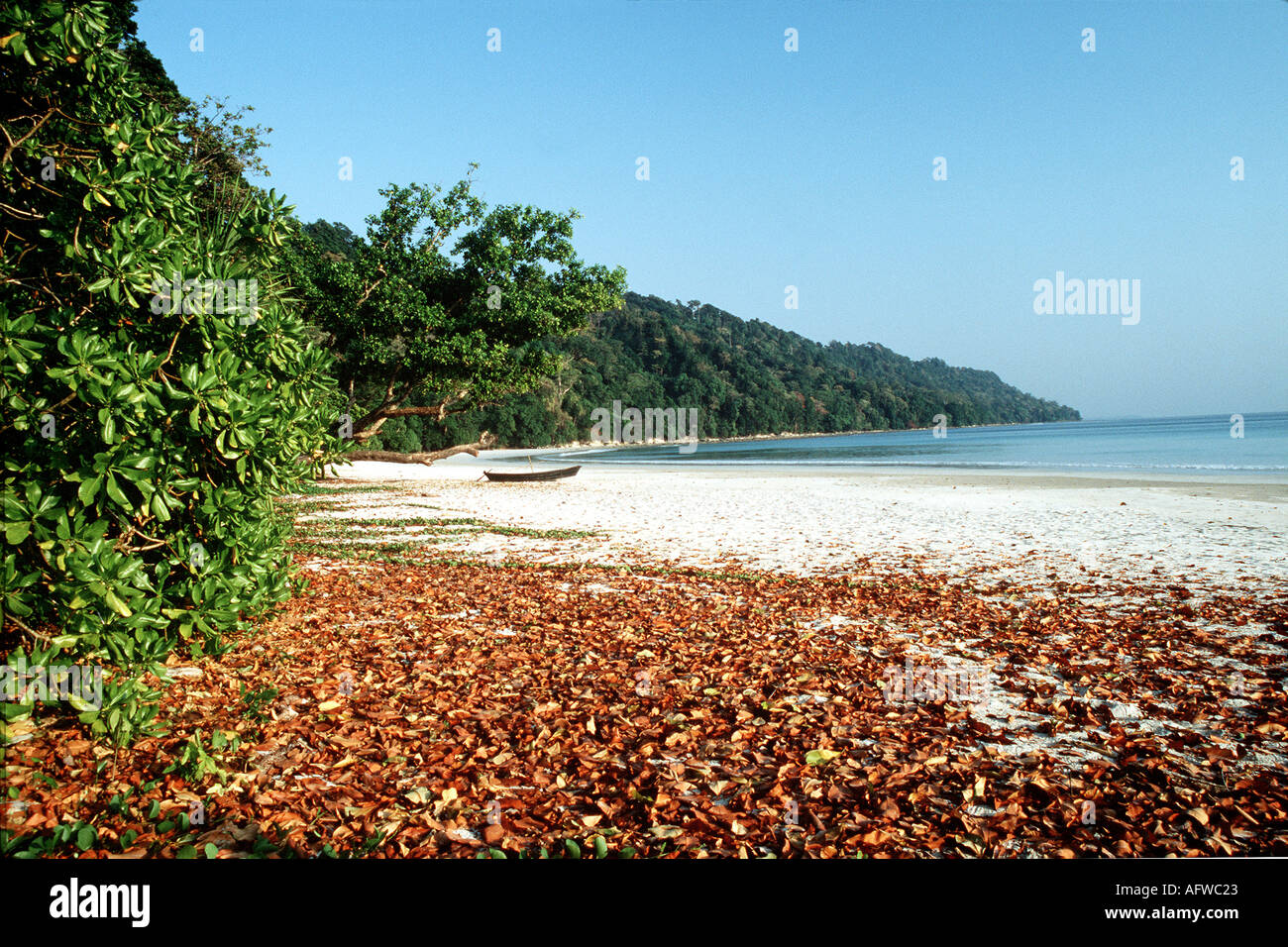 natural scenic image in the andaman islands India Stock Photo - Alamy
