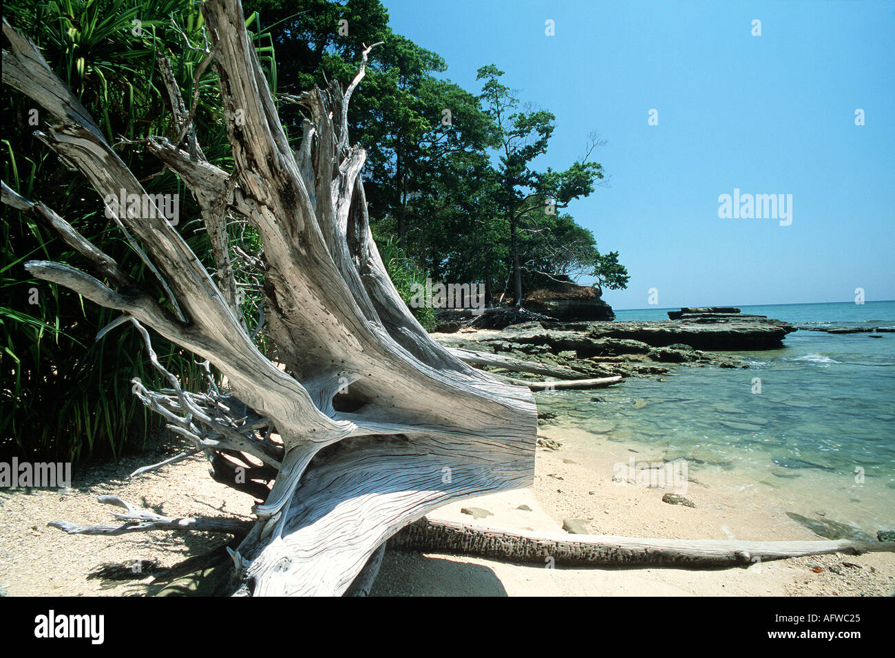 natural scenic image in the andaman islands India Stock Photo - Alamy