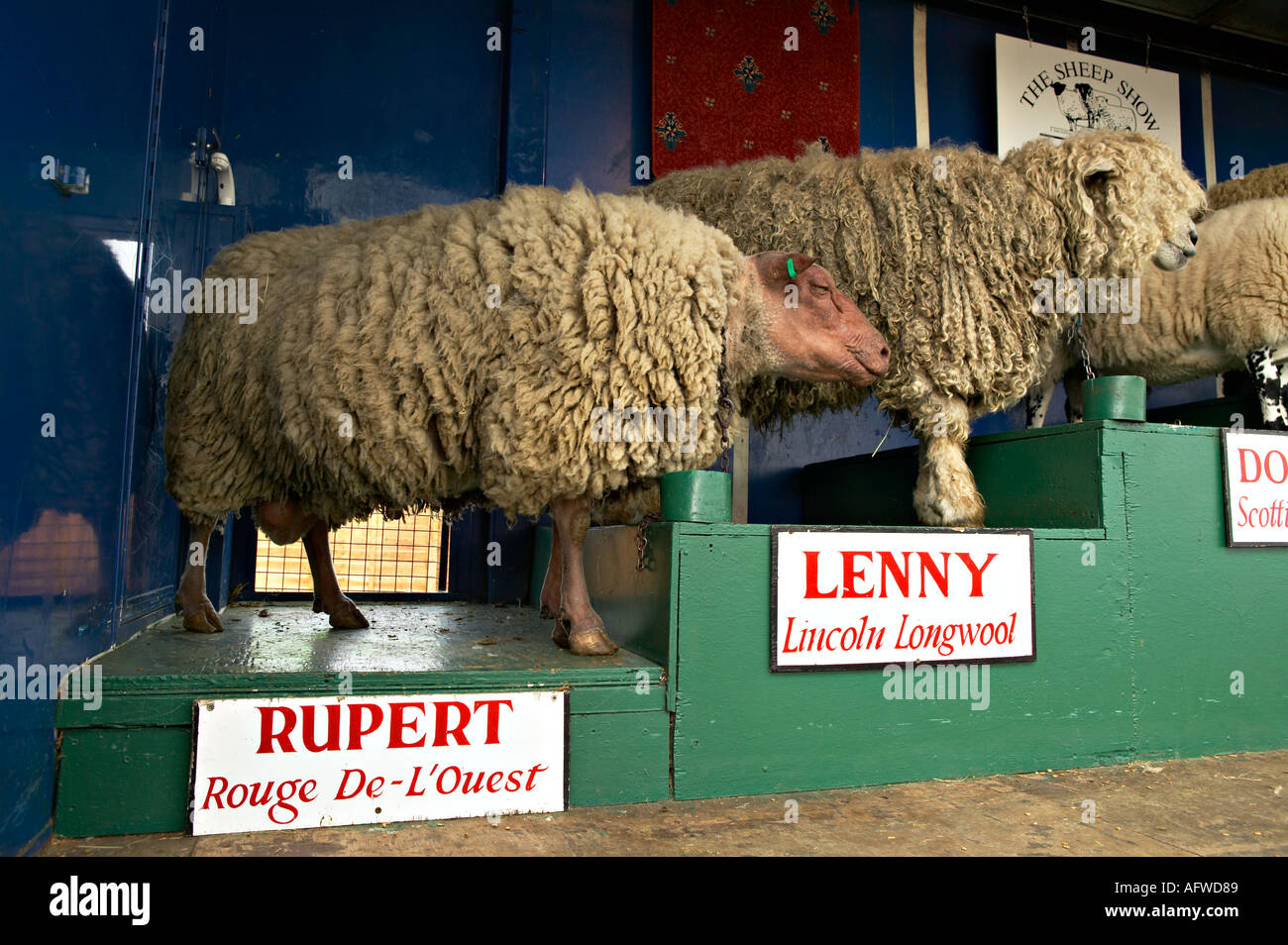 Axminster Carpets High Resolution Stock Photography and Images - Alamy