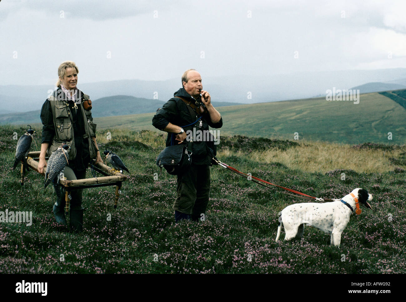 Emma Ford and Steve Ford, of the British School of Falconry at ...