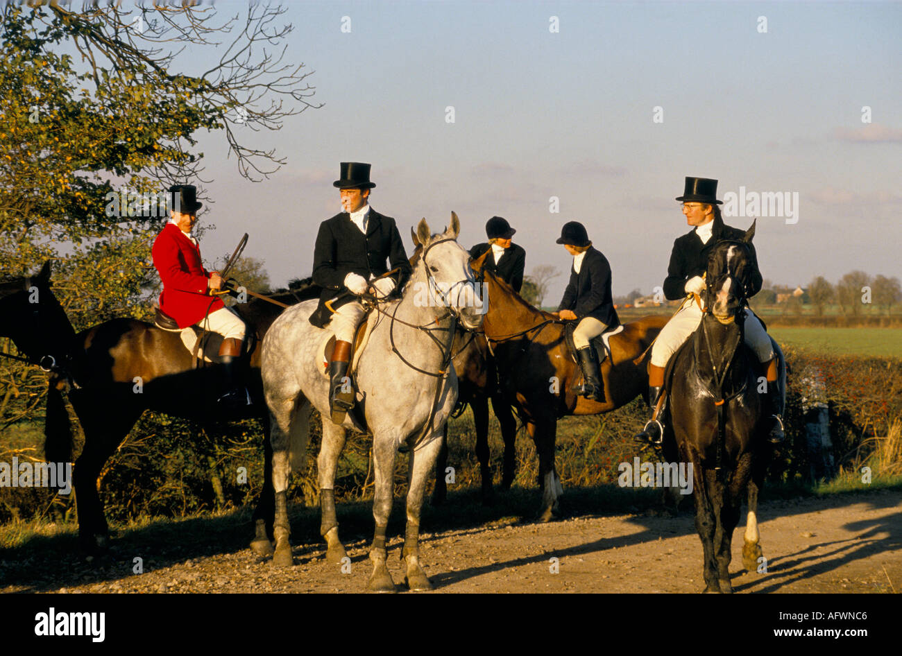 Fox hunt europe hi-res stock photography and images - Alamy