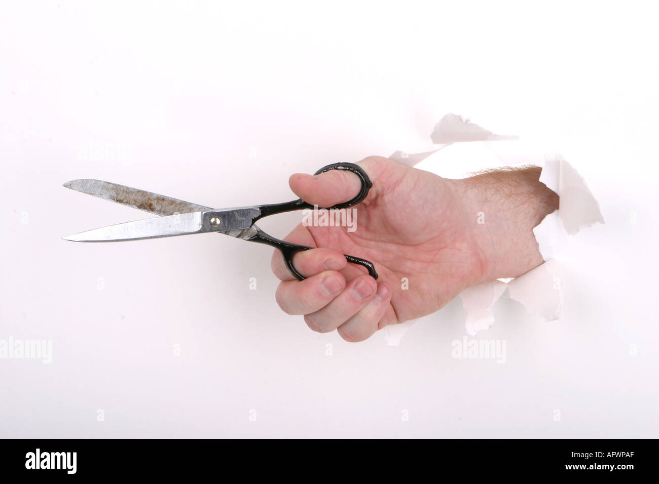 Hand and Scissors on White Stock Photo - Alamy