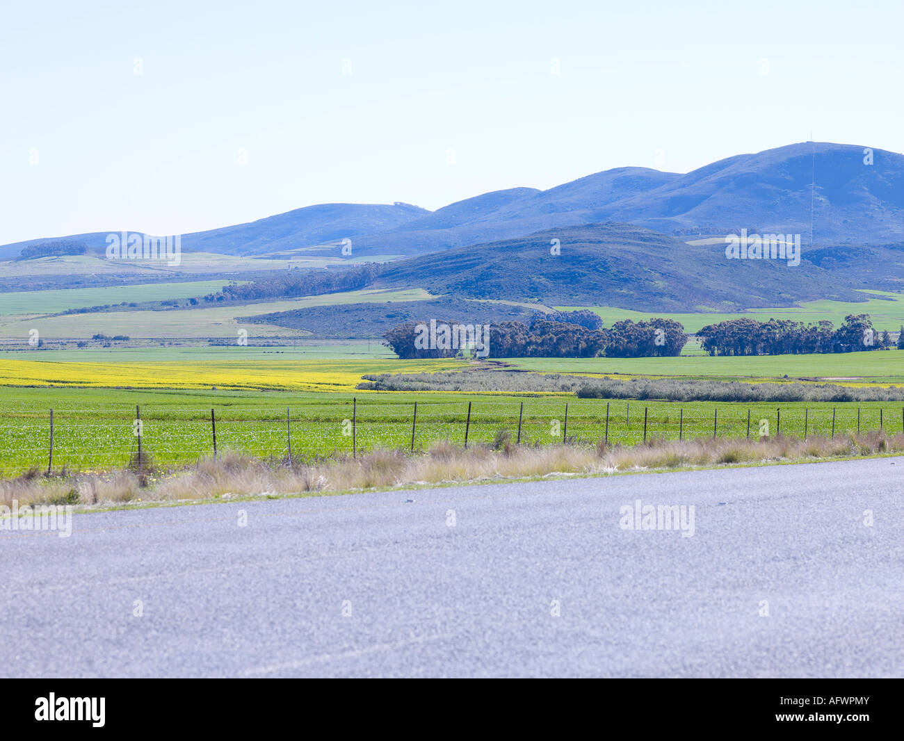 asphalt road in a hilly landscape in the Western Part of South Africa ...