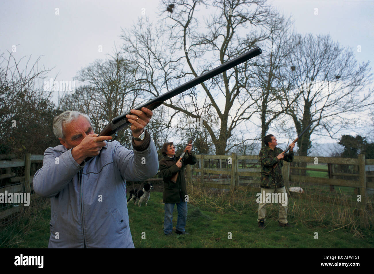 Rook shooting hi-res stock photography and images - Alamy