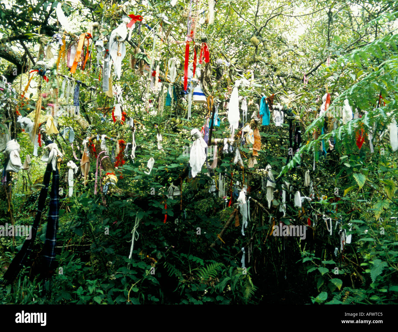 Madron well cornwall hi-res stock photography and images - Alamy