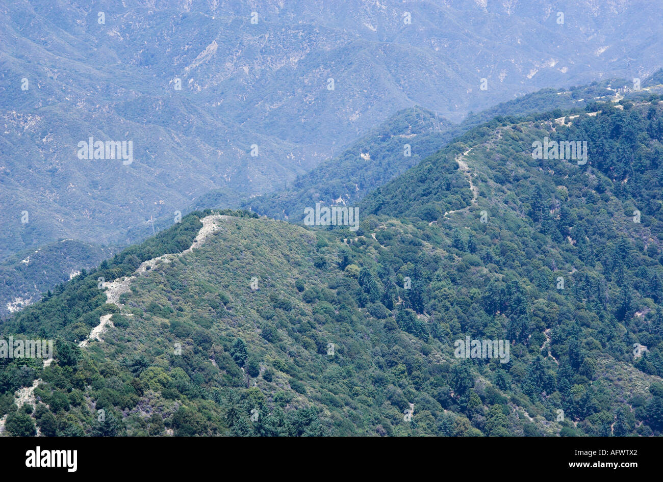 Angeles crest national forest hi-res stock photography and images - Alamy