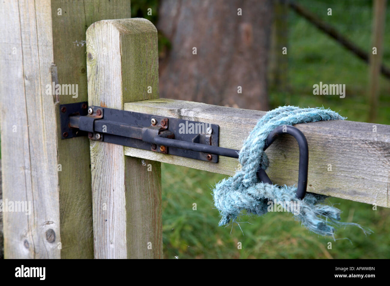 blue rope tied holding metal gate fixing on wooden gate entrance to ...