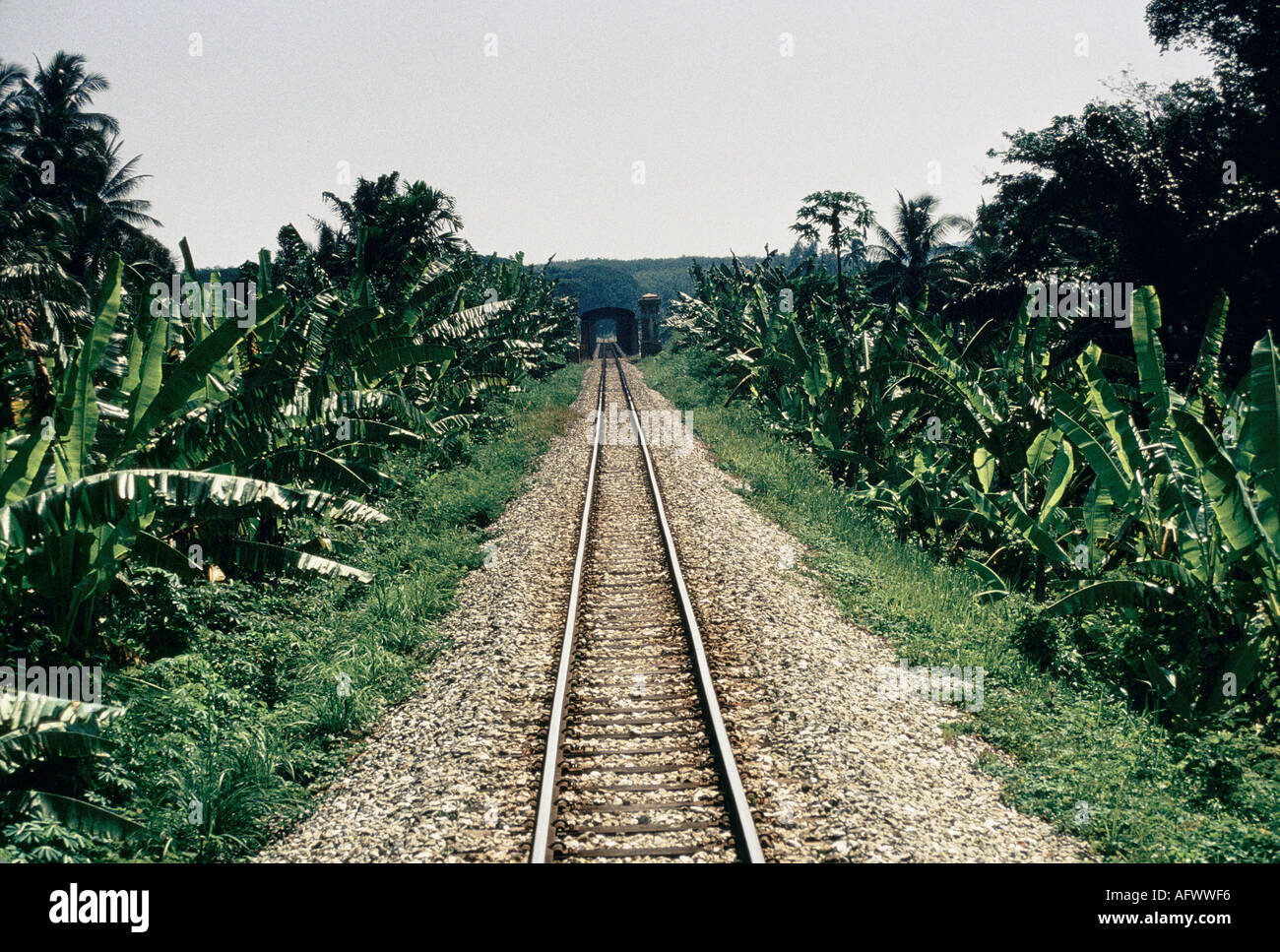 Malaysia jungle railway hi-res stock photography and images - Alamy