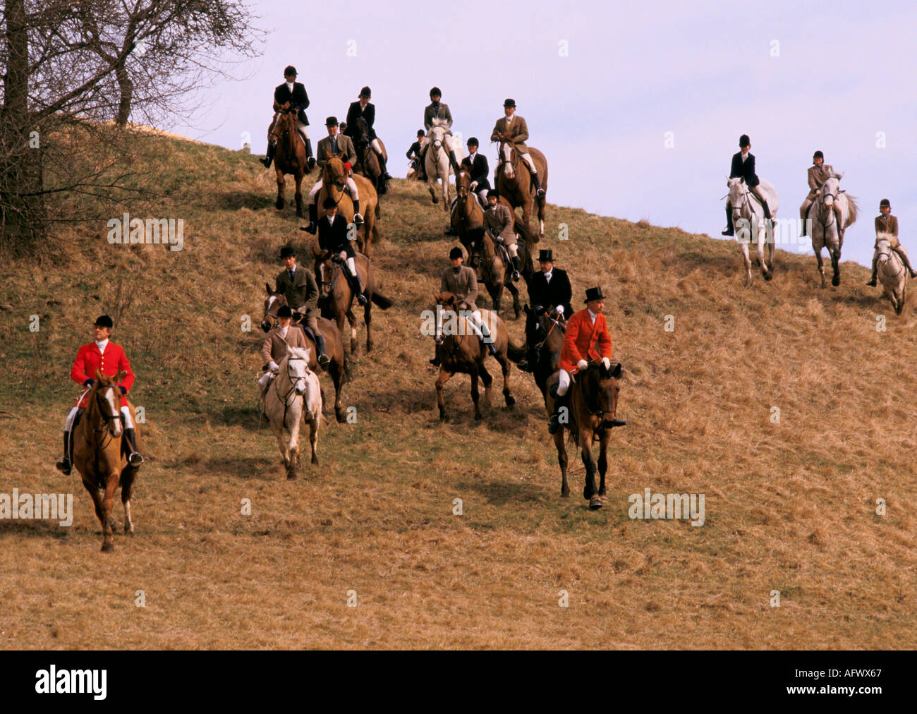 People fox hunting uk group riding hi-res stock photography and images ...