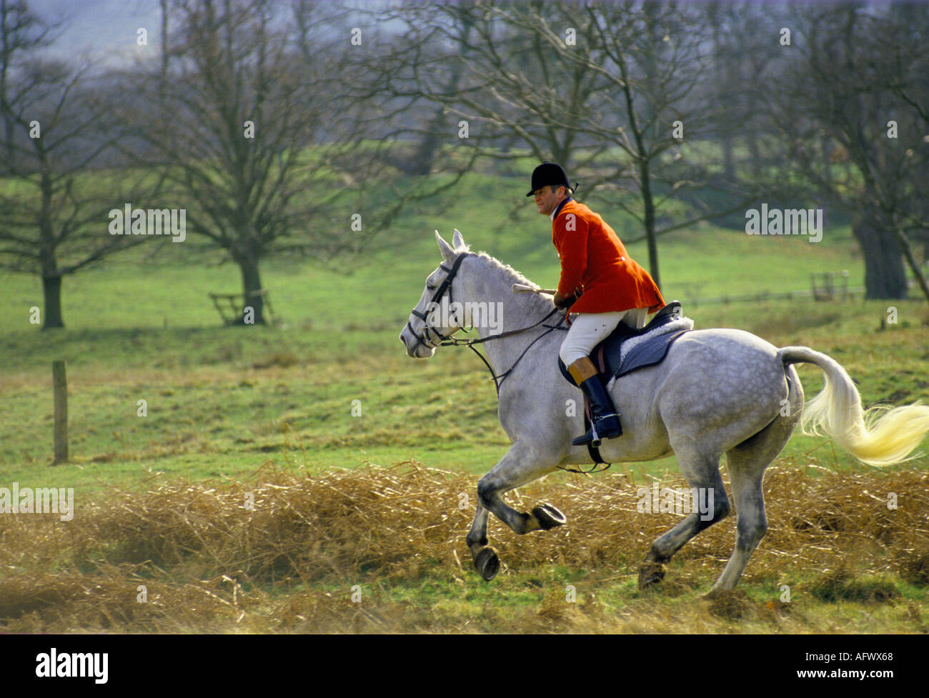 English hunt on horse hi-res stock photography and images - Alamy