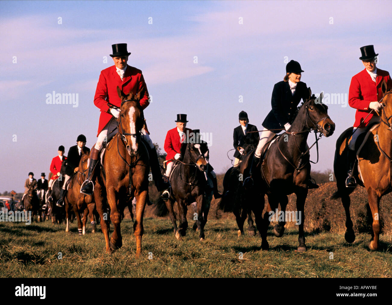 Foxhunting. Belvoir Hunt Leicestershire England fox hunting with hounds ...