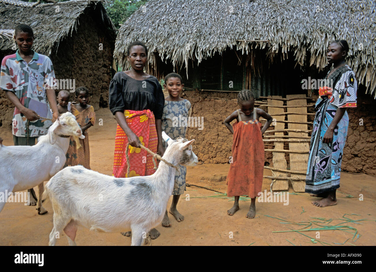 AFRICA KENYA DIGO Kenyan family with their Heifer Project International ...