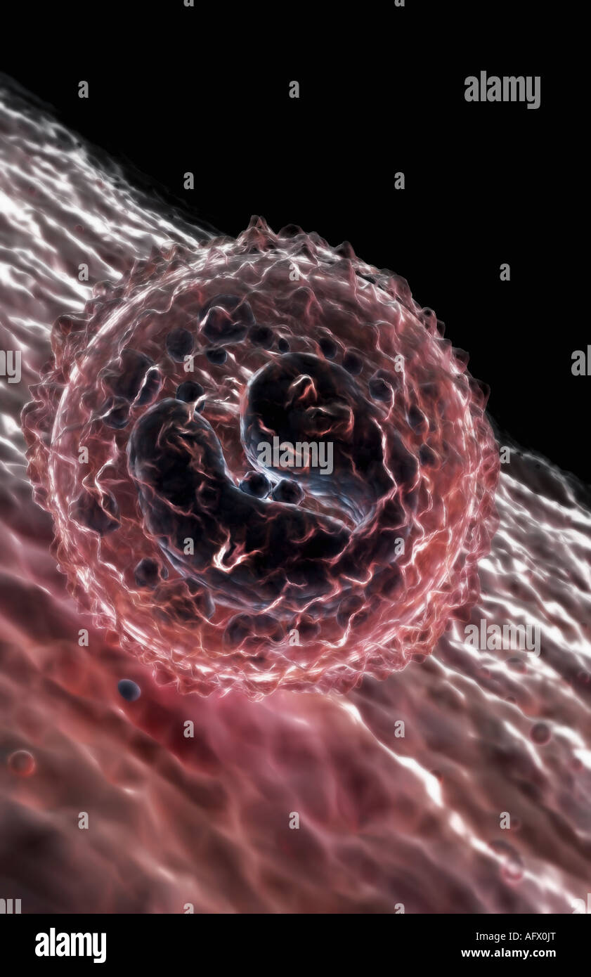 Monocytes hi-res stock photography and images - Alamy