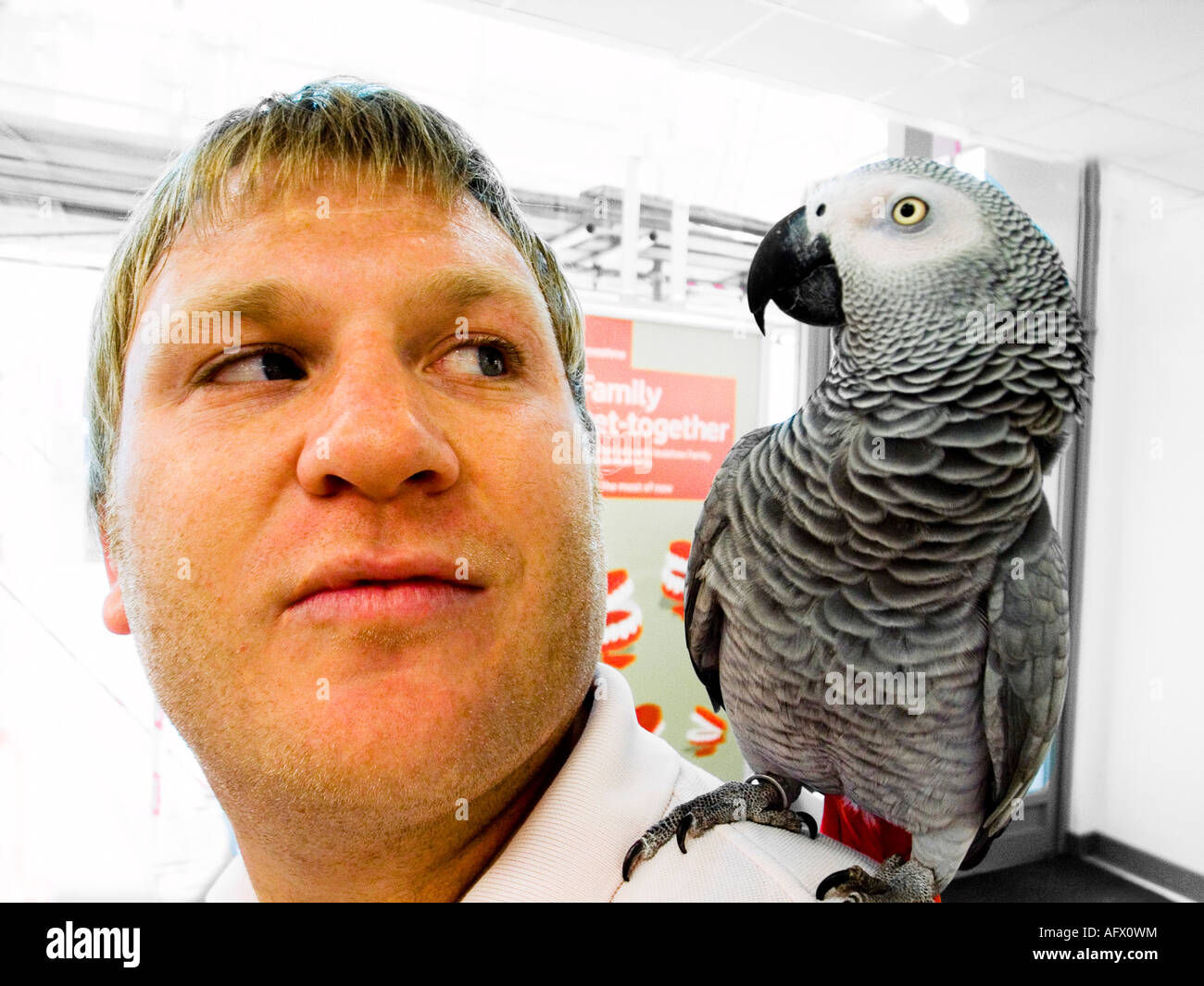 European parrot hi-res stock photography and images - Alamy
