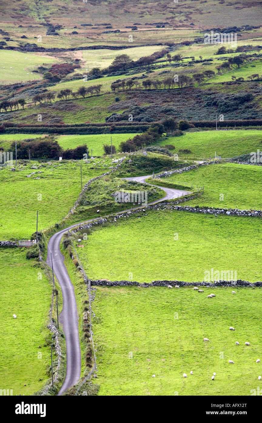 small tight winding windy country lane road leading through farmland ...