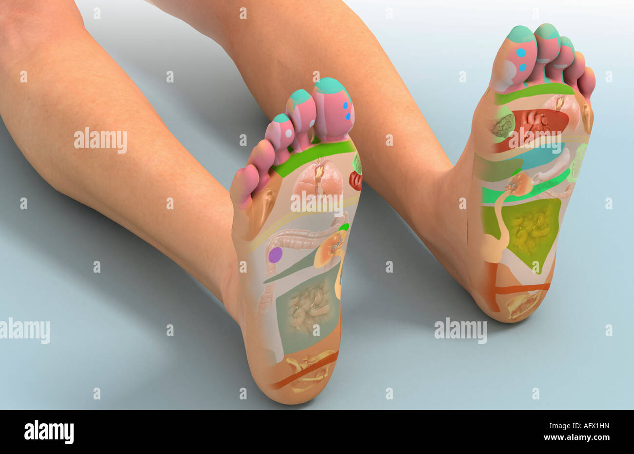 Foot reflexology map hi-res stock photography and images - Alamy
