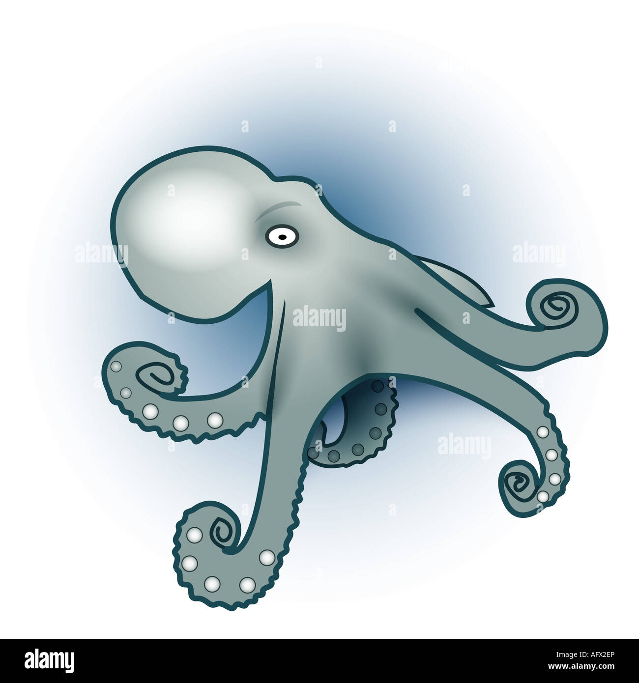 Cartoon illustration of octopus Isolated on white Stock Photo - Alamy