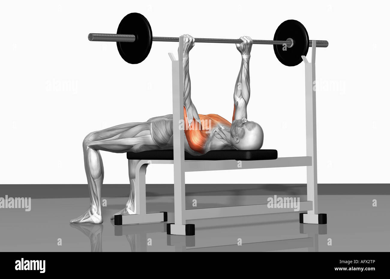 Bench press (Part 1 of 2 Stock Photo - Alamy
