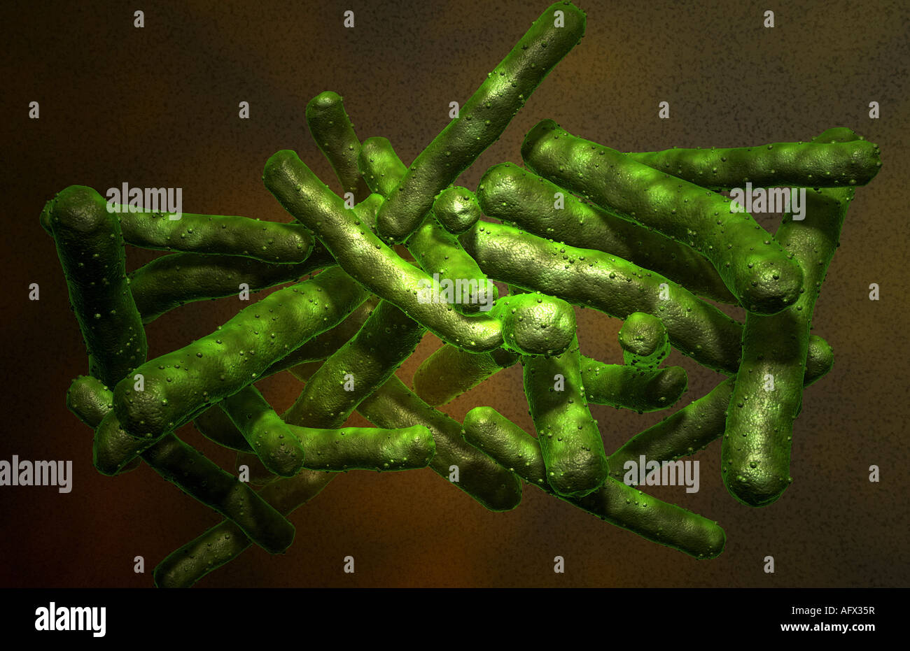 Mycobacterium tuberculosis bacterium hi-res stock photography and images - Alamy