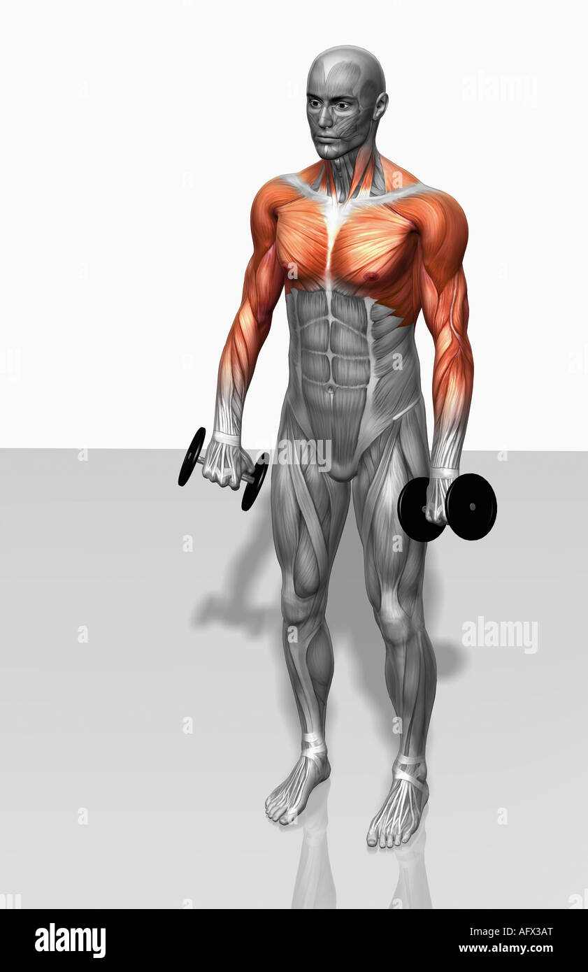 Empty cans exercise (Part 2 of 2 Stock Photo - Alamy