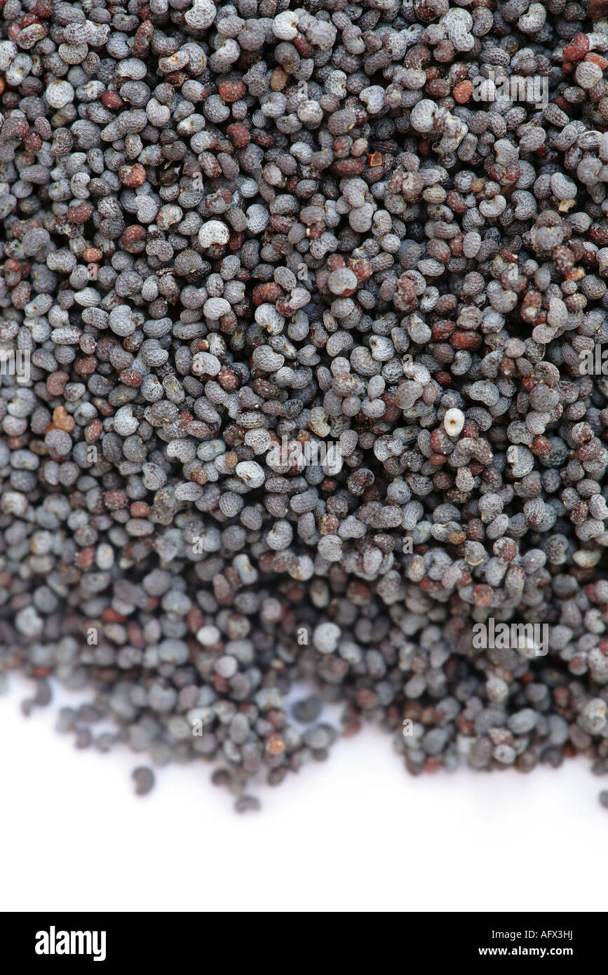 Blue Poppy Seeds Stock Photo - Alamy