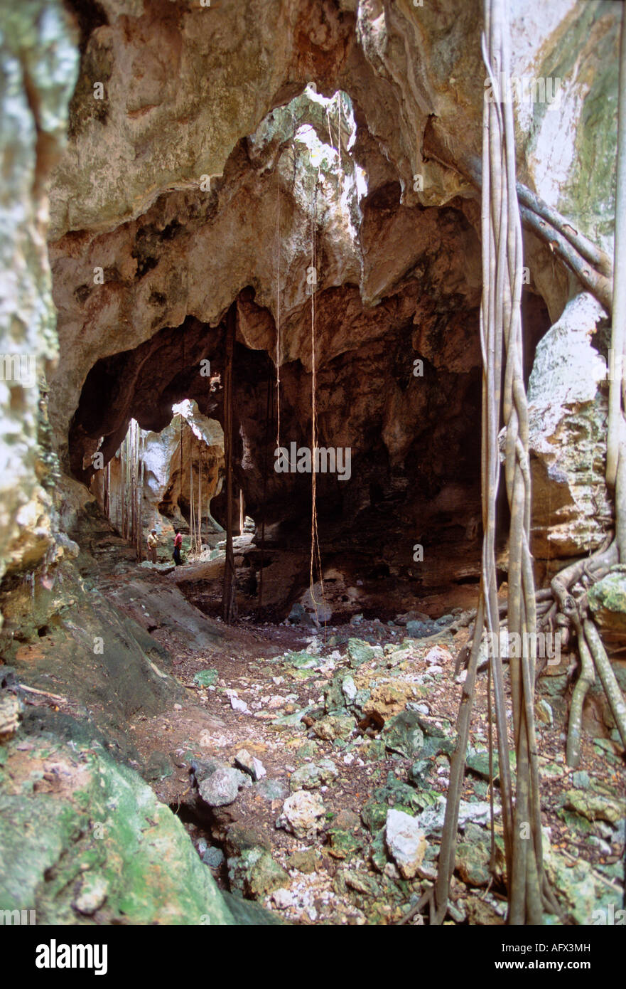 Caves on the island of Eleuthera Bahamas Stock Photo - Alamy