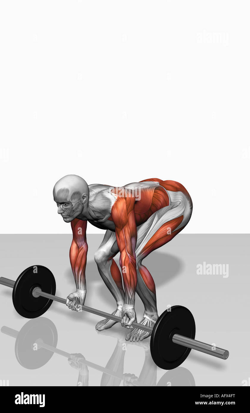 Romanian deadlift (Part 1 of 2 Stock Photo - Alamy