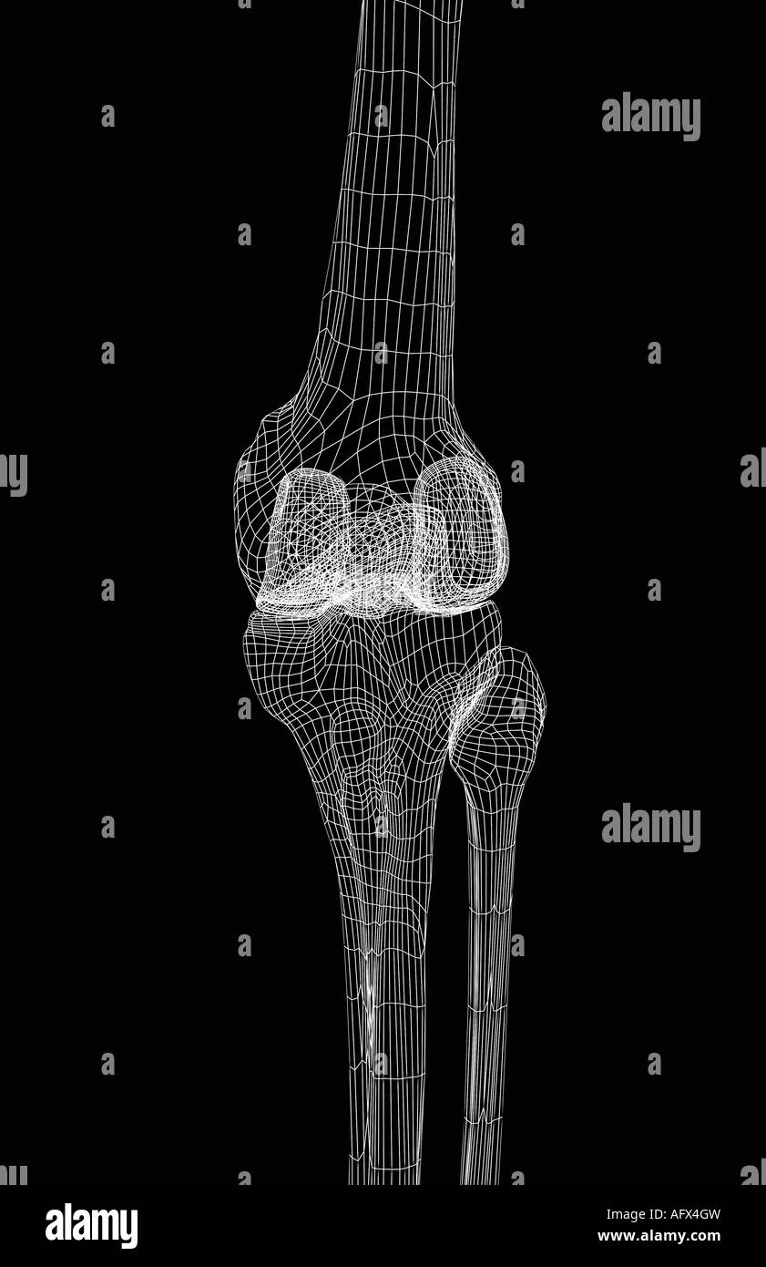 Knee anatomy structure human Black and White Stock Photos & Images - Alamy